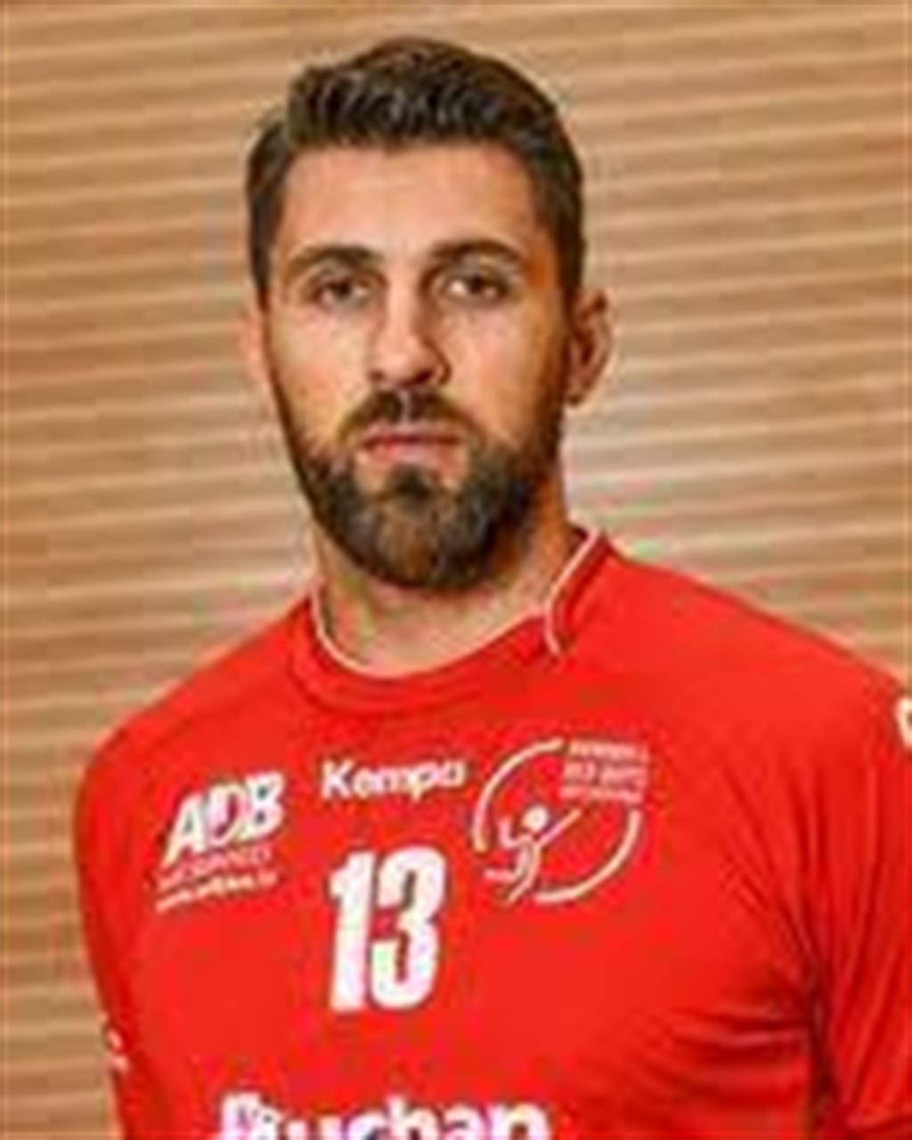 DAMIR BATINOVIC - Career & Statistics | EHF